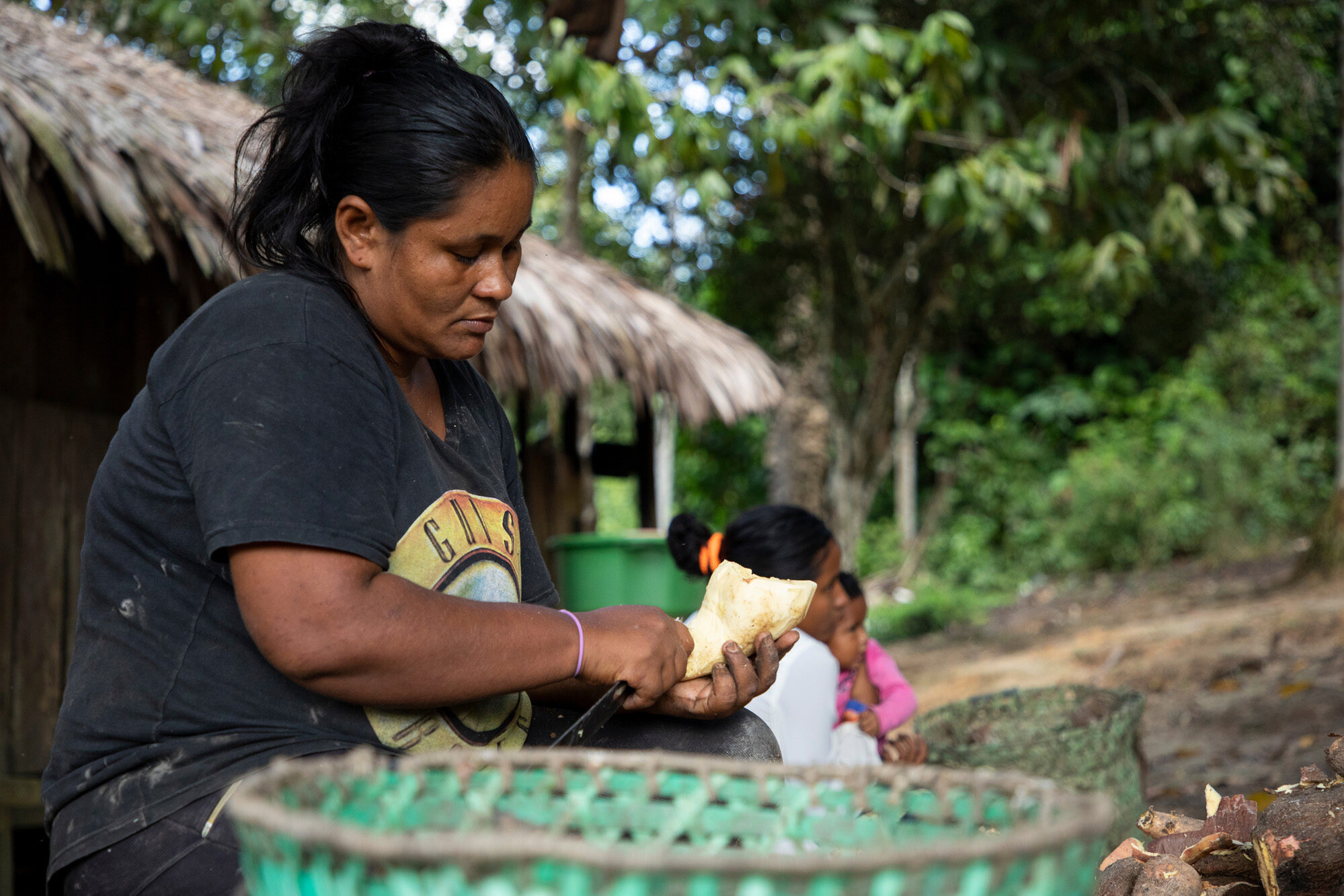 Valorize a ciência: plataforma vai inventariar as espécies do Rio ...