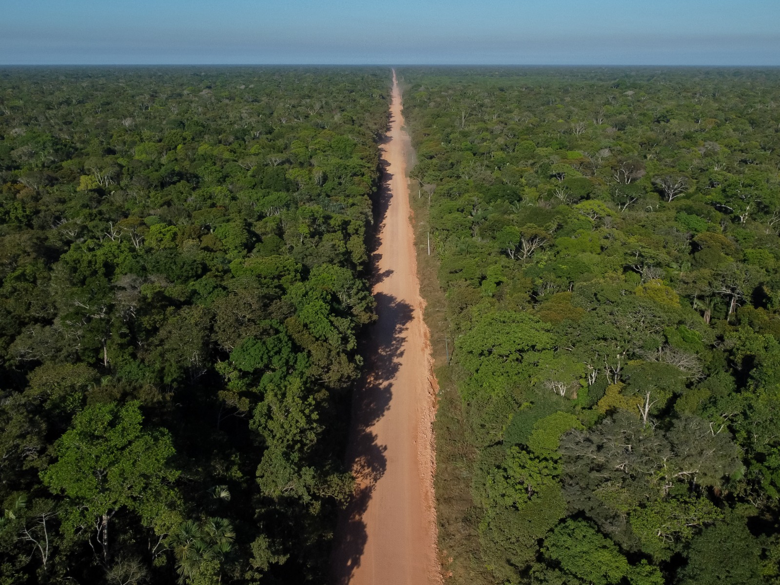 Desafios Urgentes: Combater o Desmatamento na Amazônia — Planeta Amazônia