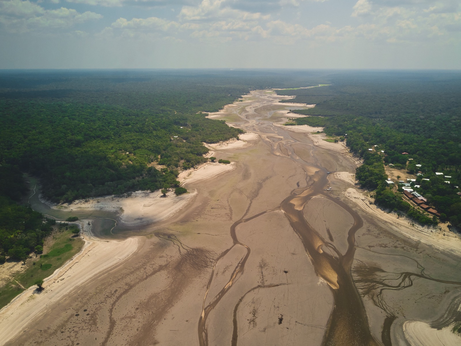 O Dia Mundial do Meio Ambiente chama à reflexão sobre os cuidados com o ...