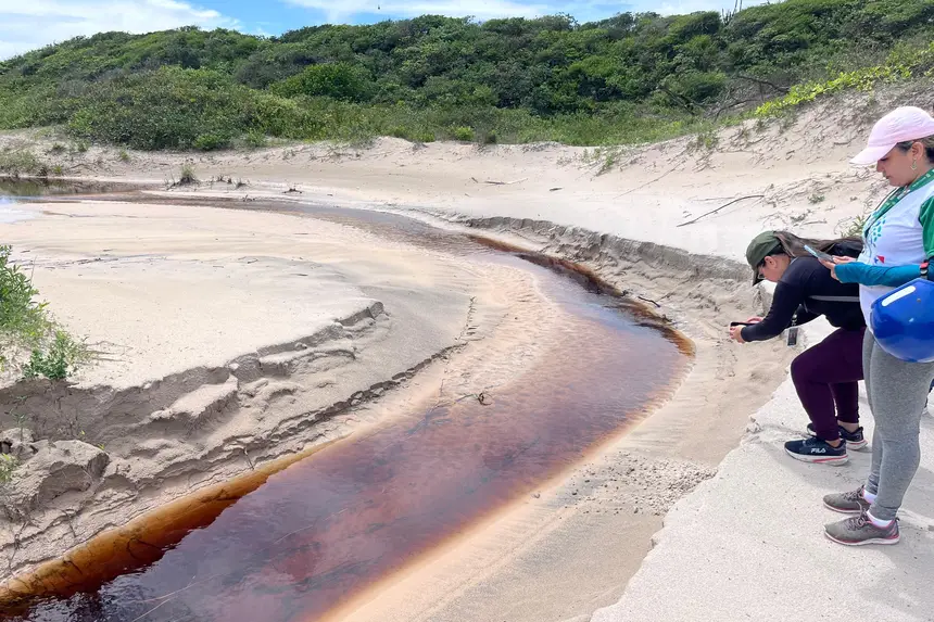 Ideflor-Bio vai elaborar Plano de Gestão para Monumento Natural Atalaia ...